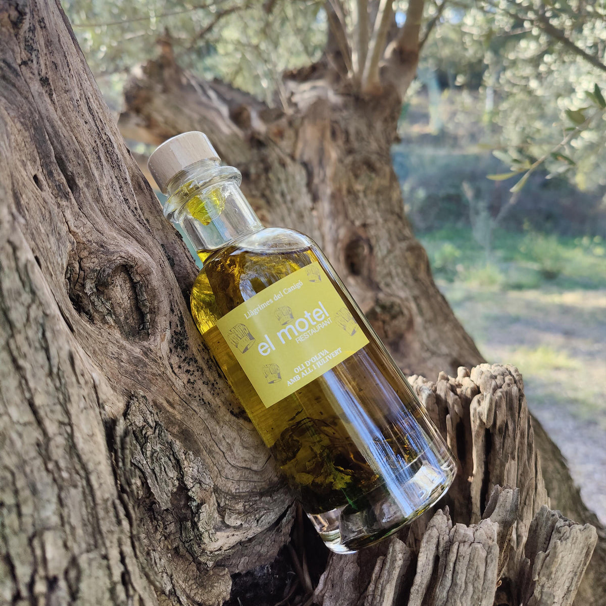 LLÀGRIMES DEL CANIGÓ x MOTEL EMPORDÀ | Olive Oil with Garlic and ...